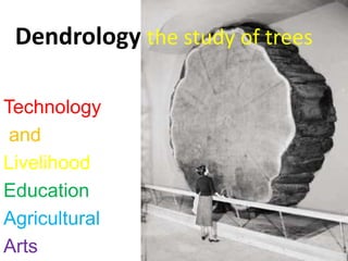 Dendrology the study of trees | PPTX