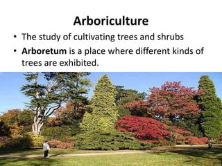 Dendrology the study of trees | PPTX