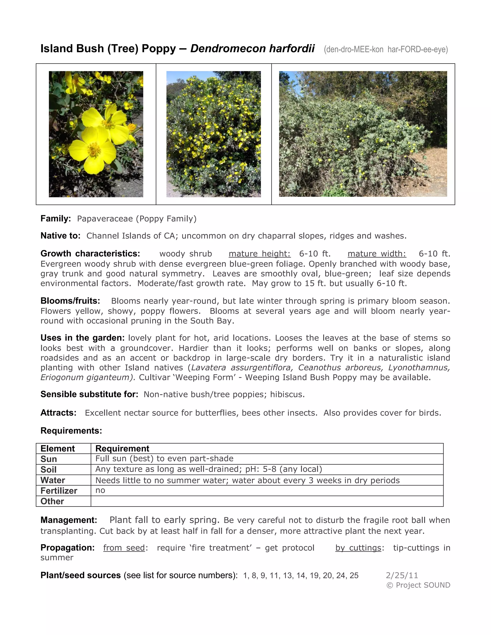 Dendromecon harfordii | PDF