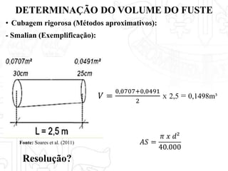 Dendrometria - Medidas de Volume de Madeira | PPTX