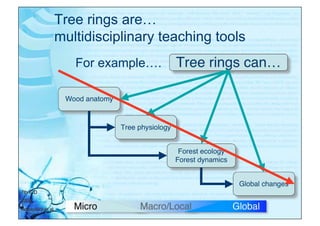 Dendropedagogical Approach | PPT