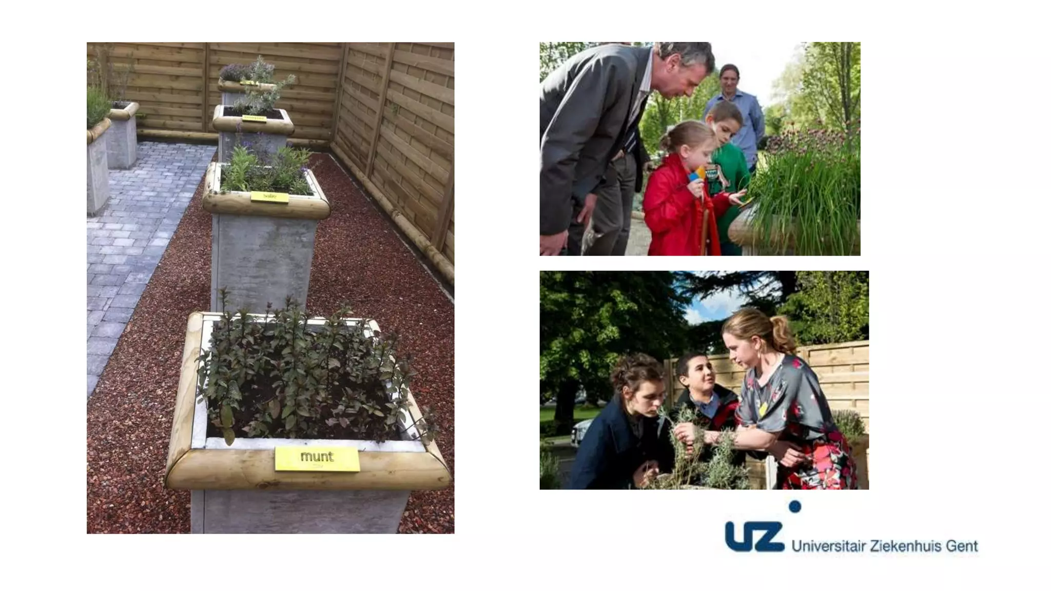 Deneef Naïka Presentatie | PPTX