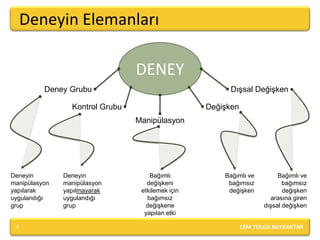 Deney Tasarimi | PDF