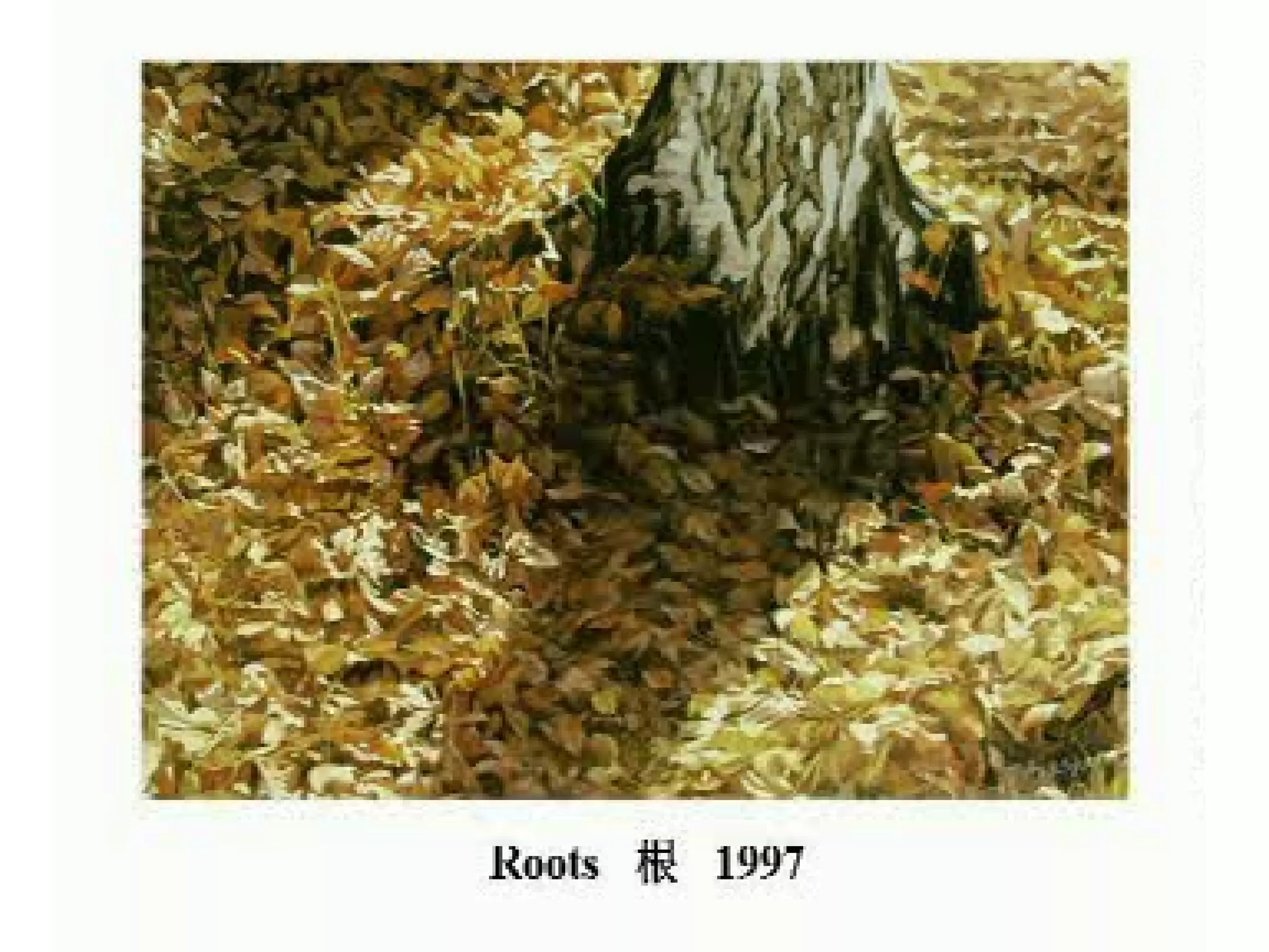 Deng Nai Rong Paintings | PPT
