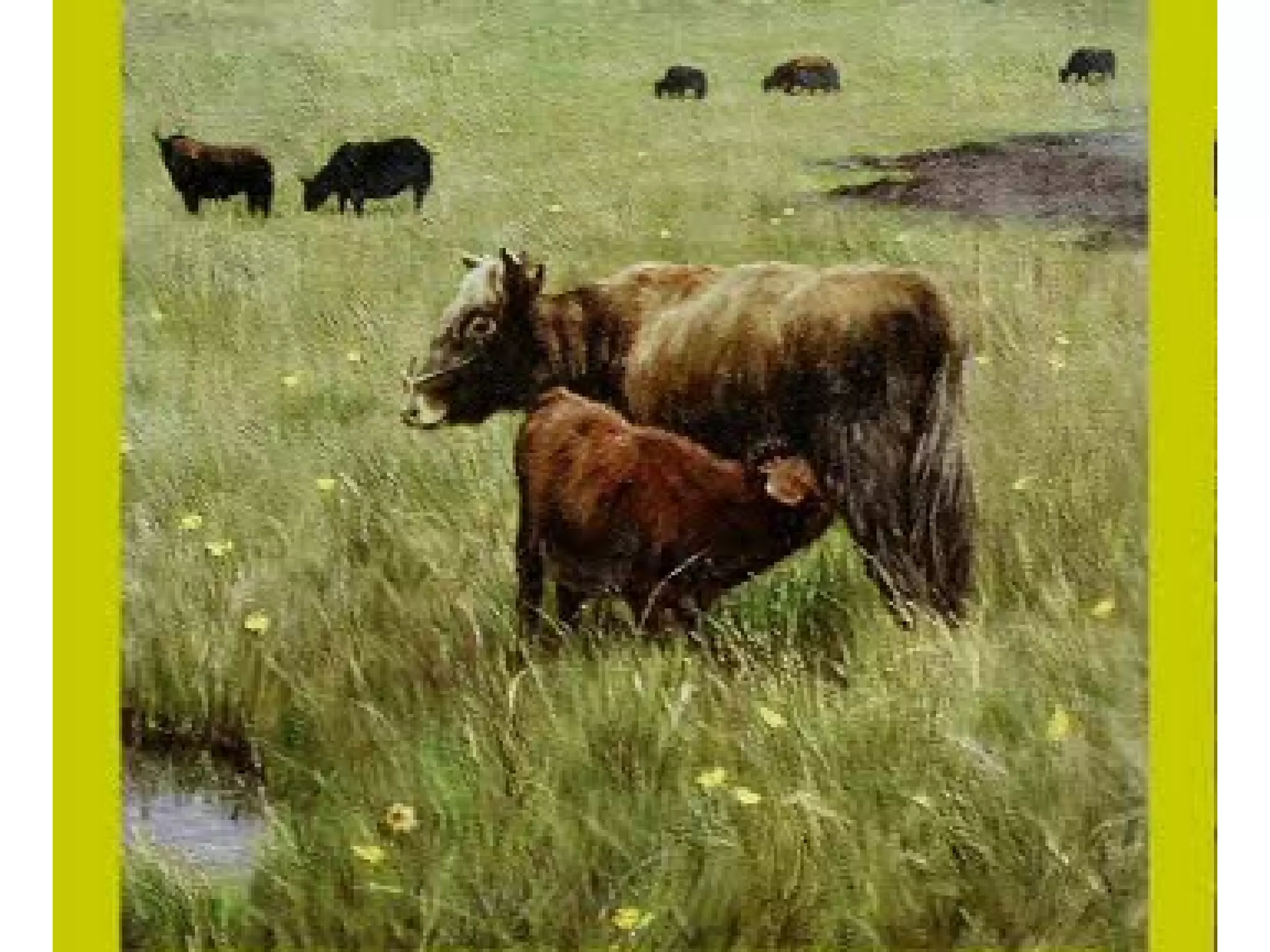 Deng Nai Rong Paintings | PPT