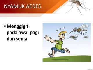 DENGGI.pptx