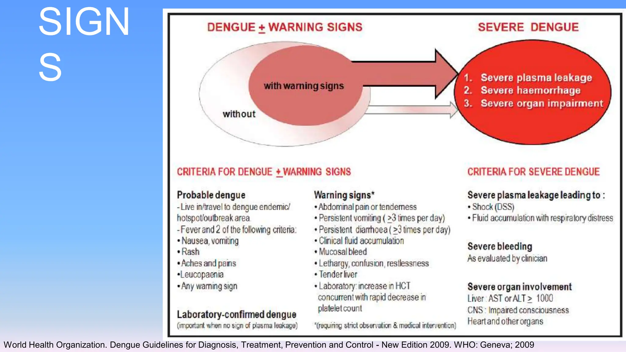 Dengue Fever.ppt