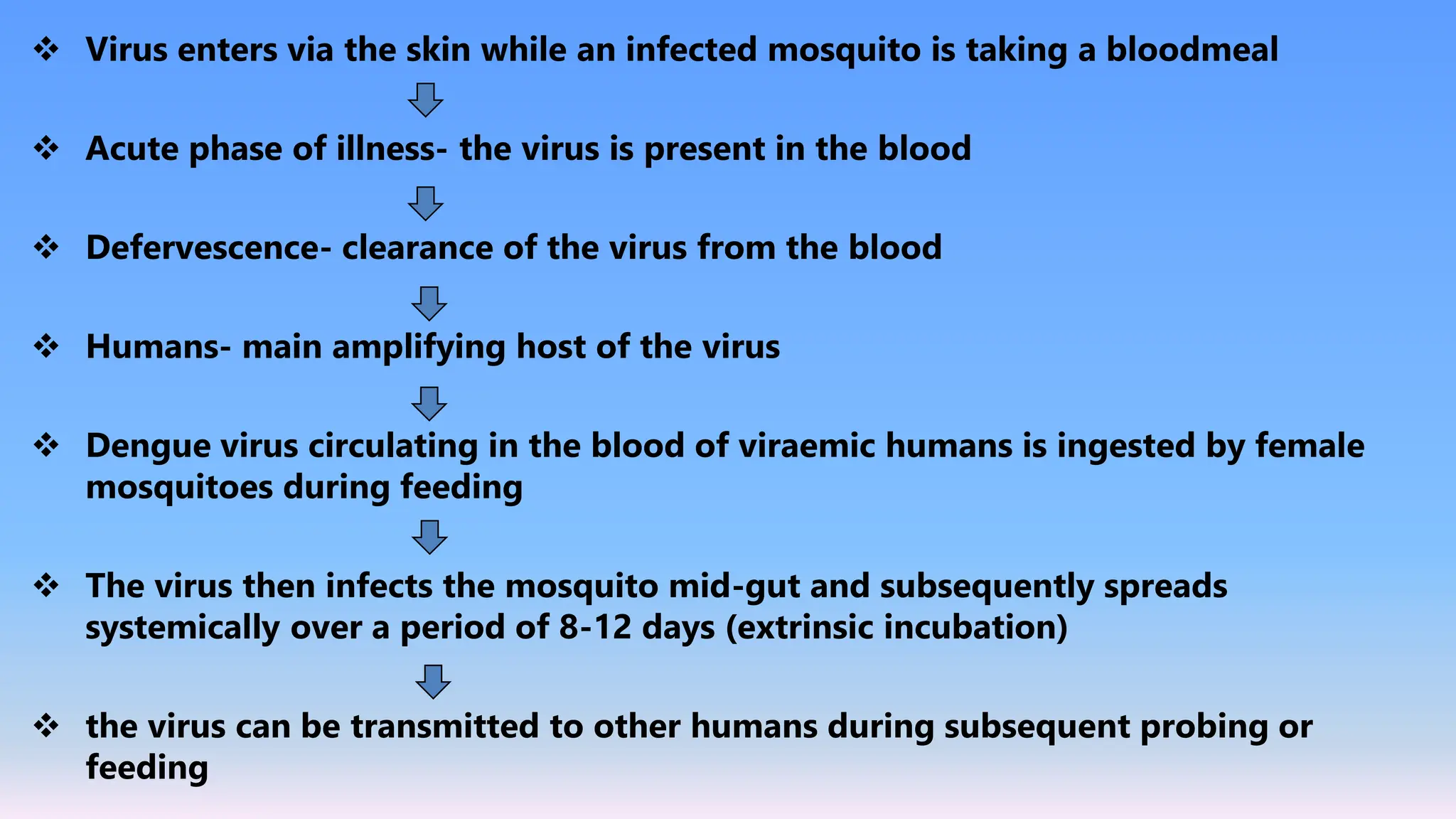 Dengue Fever.ppt