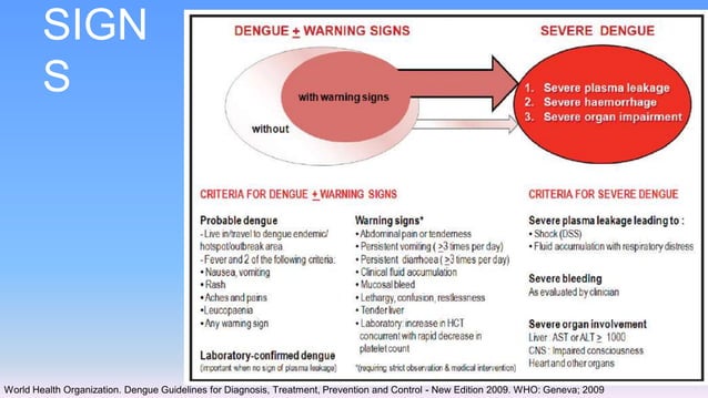Dengue Fever.ppt | Blood Disorders | Diseases and Conditions