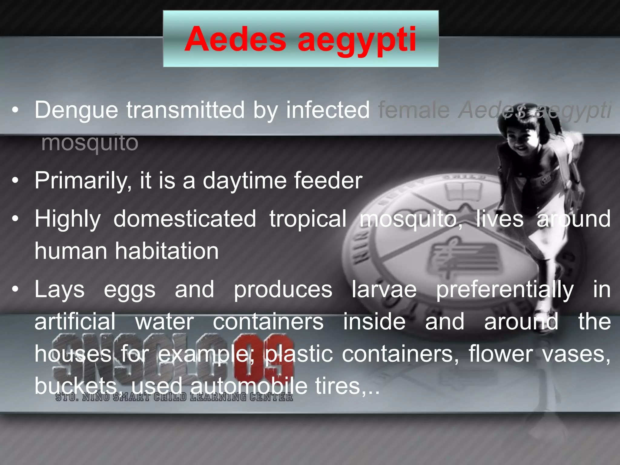 Dengue | PPT