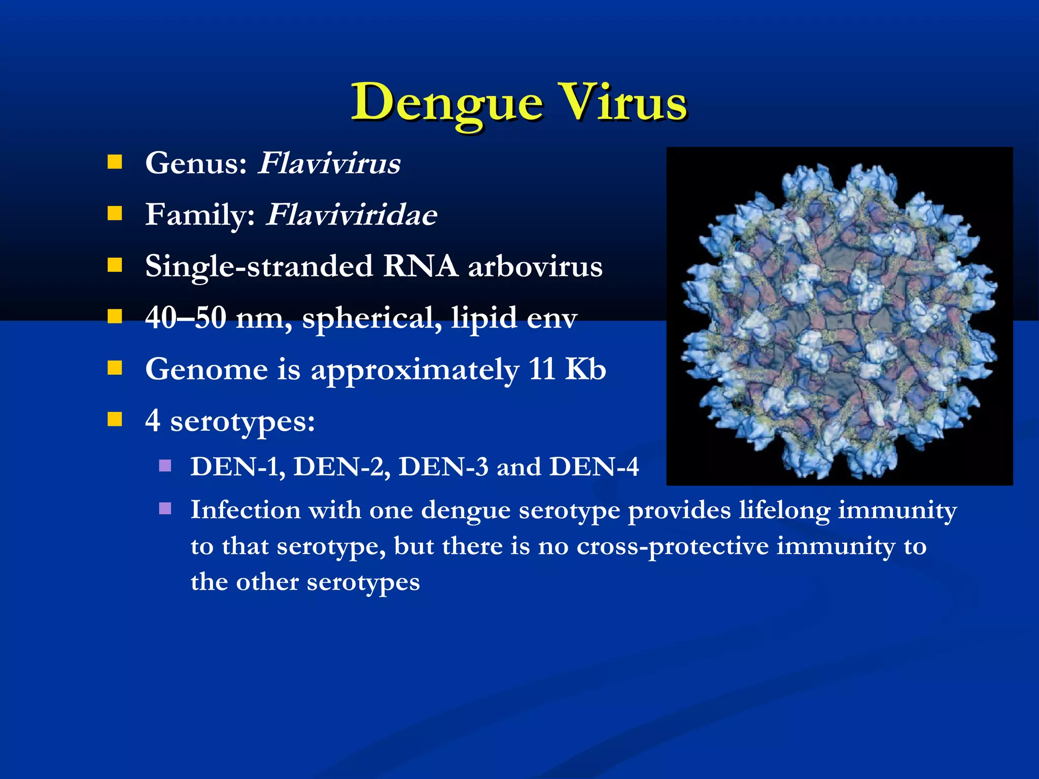 Dengue | PPT