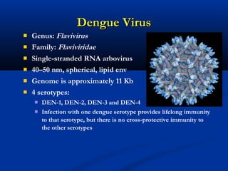 Dengue | PPT