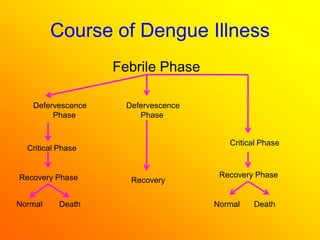 Dengue | PDF