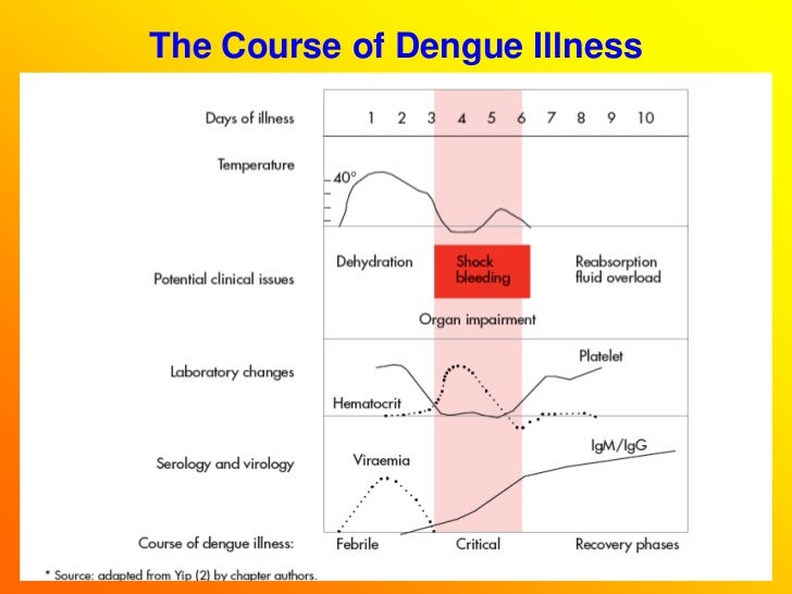 Dengue