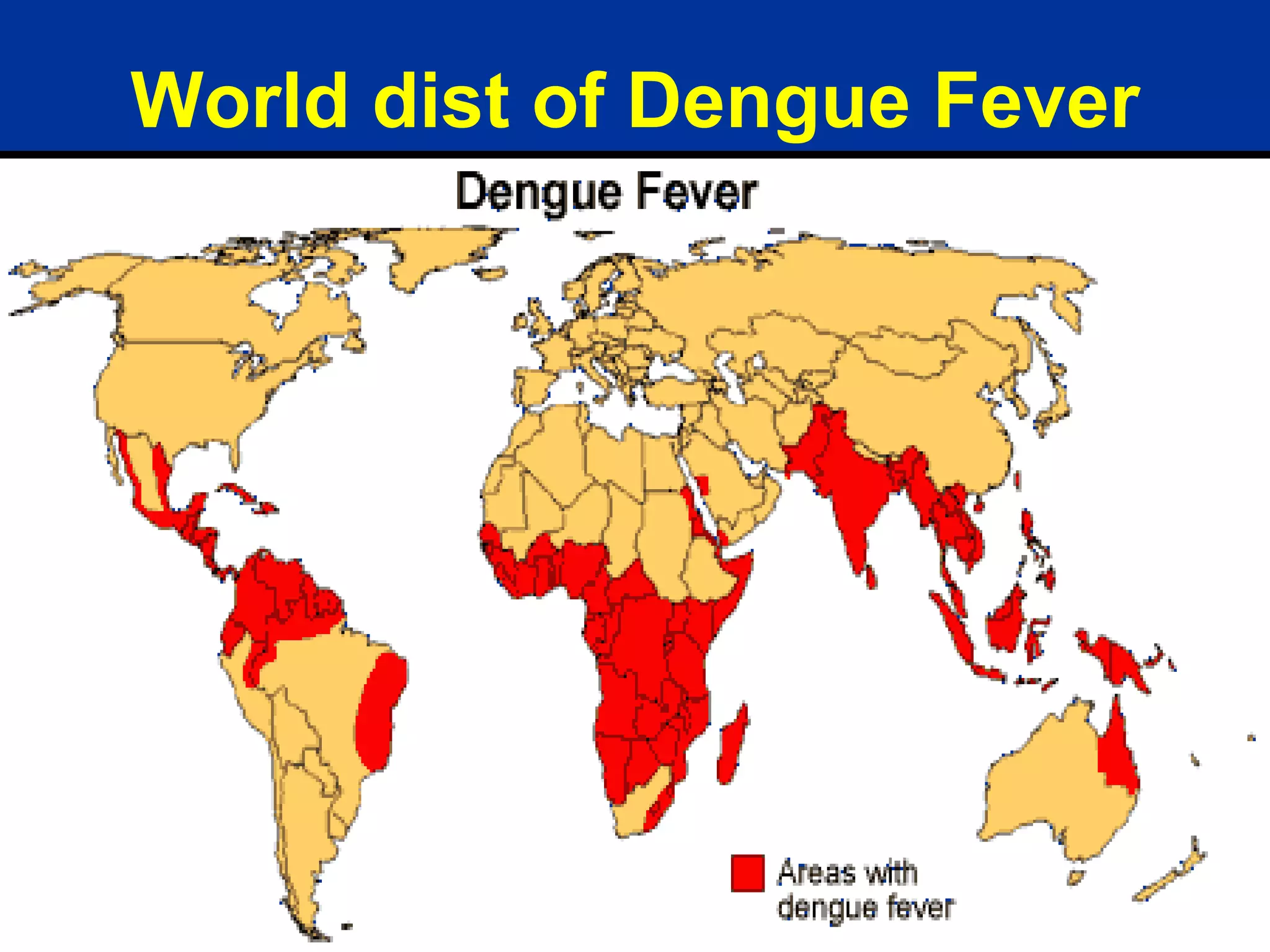 Dengue in Pakistan | PPT