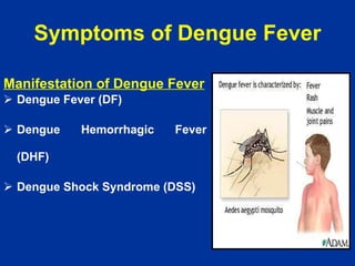 Dengue in Pakistan | PPT