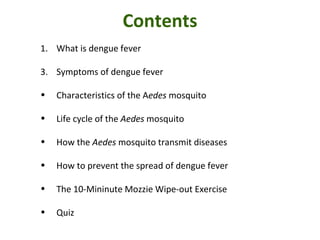 Dengue Prevention - What You Need To Know | PPS