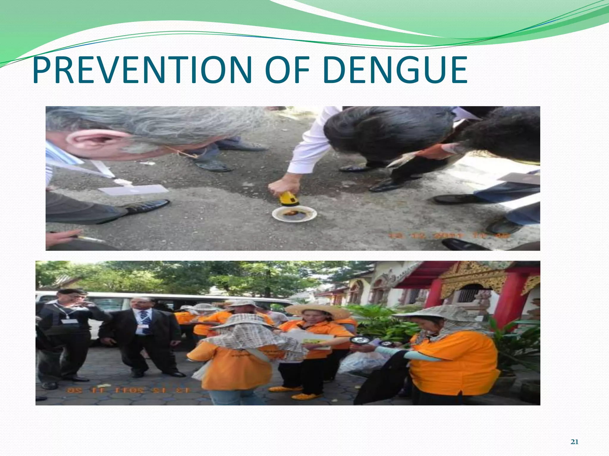 Dengue awareness | PPTX