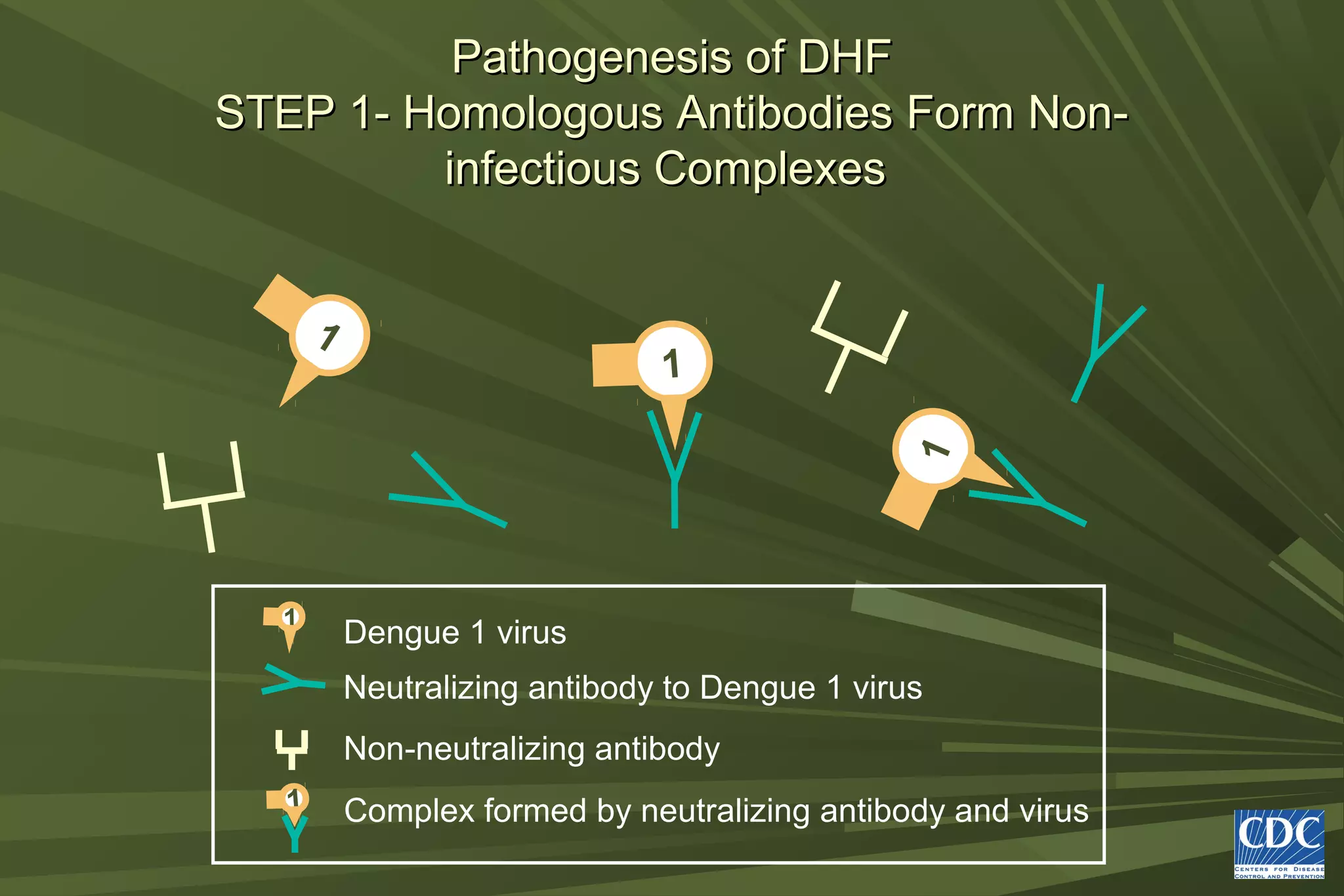 Dengue | PPT