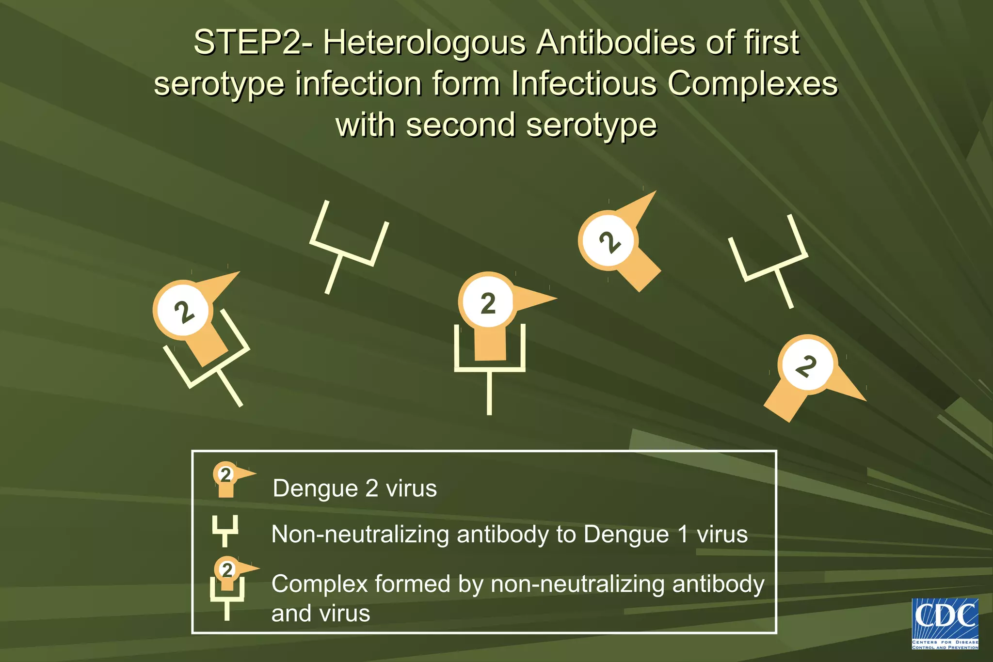 Dengue | PPT