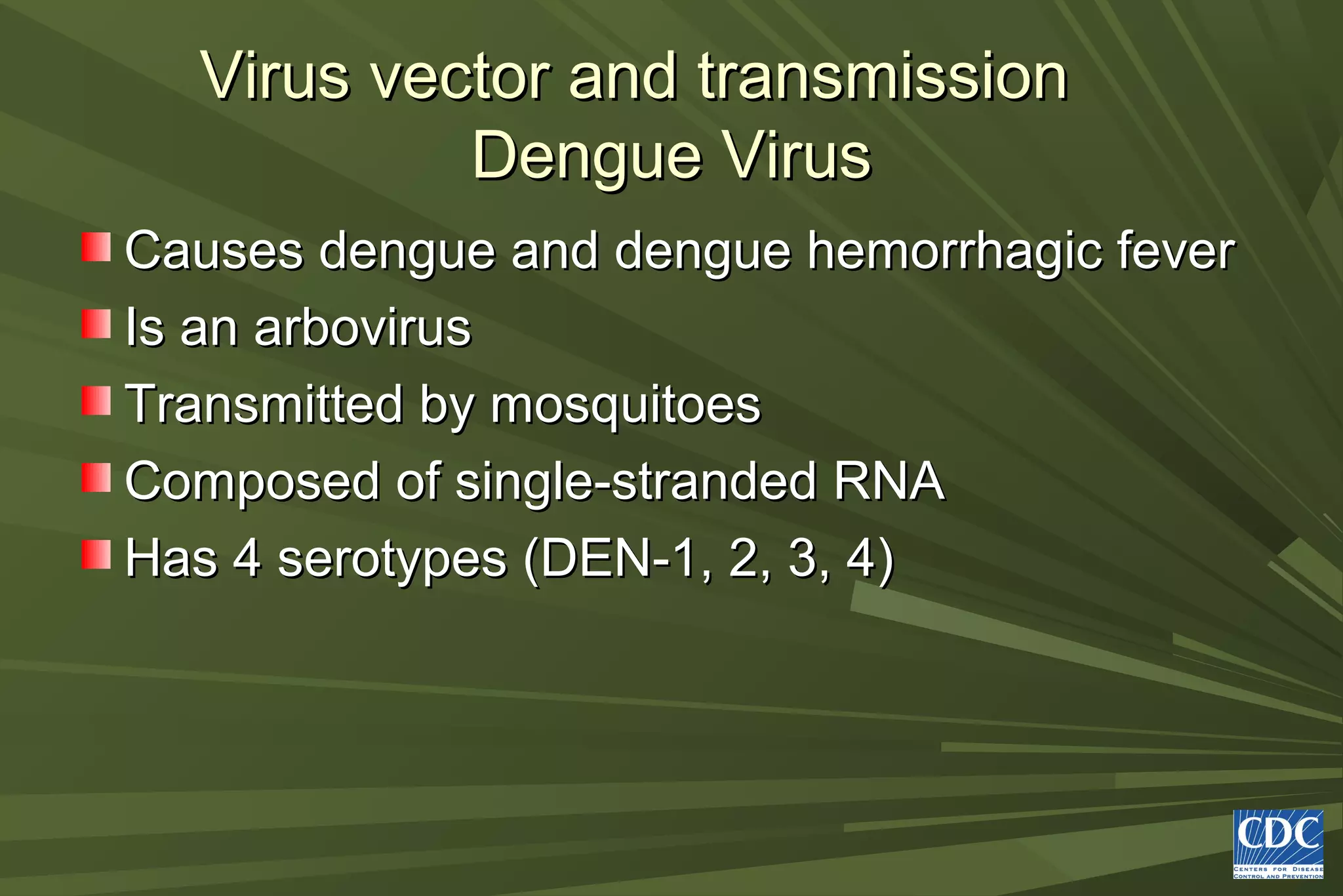Dengue | PPT