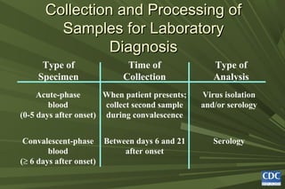 Dengue | PPT