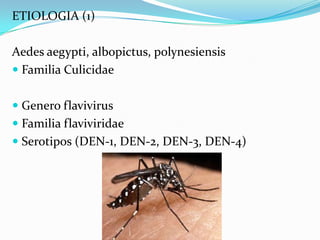 Dengue | PPTX