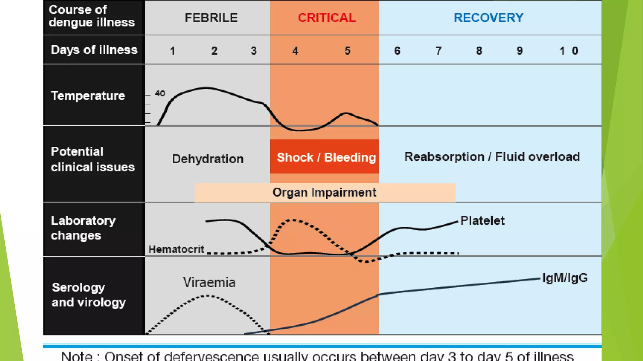 Dengue (CPG Summary) | PPT