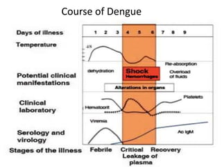 Dengue | PPTX