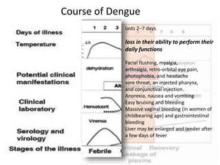 Dengue | PPT