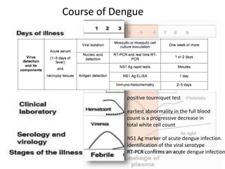 Dengue | PPT