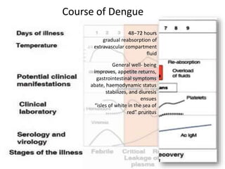 Dengue | PPT