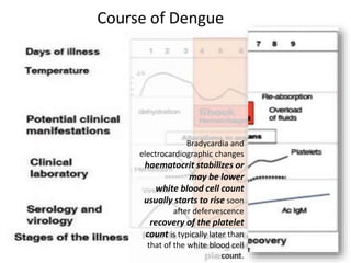 Dengue | PPT