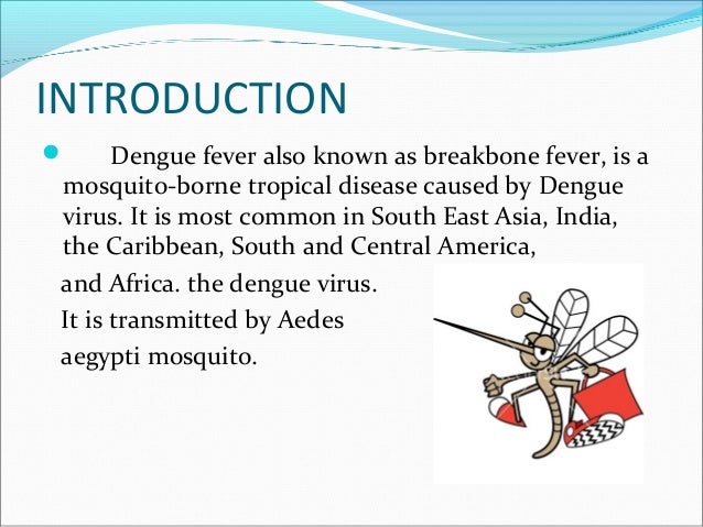 The Deadly Dengue!