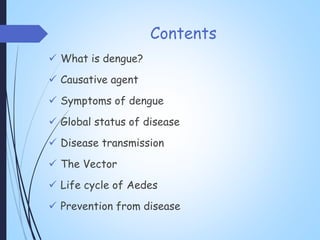 Dengue | PPT