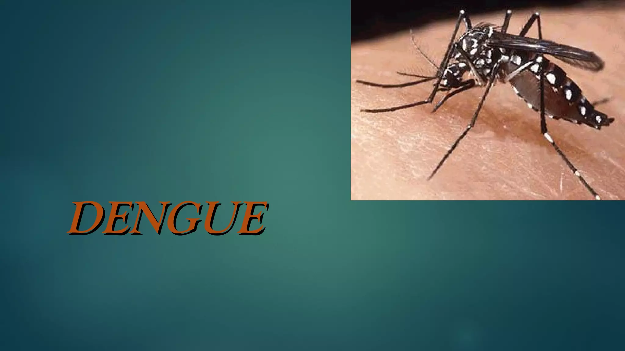 Dengue | PPT