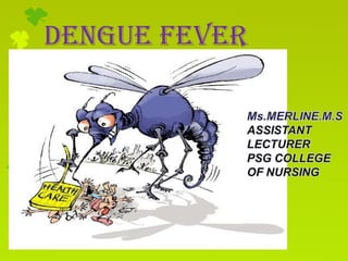 Dengue | PPT