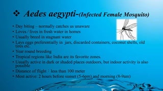 Dengue fever | PPTX
