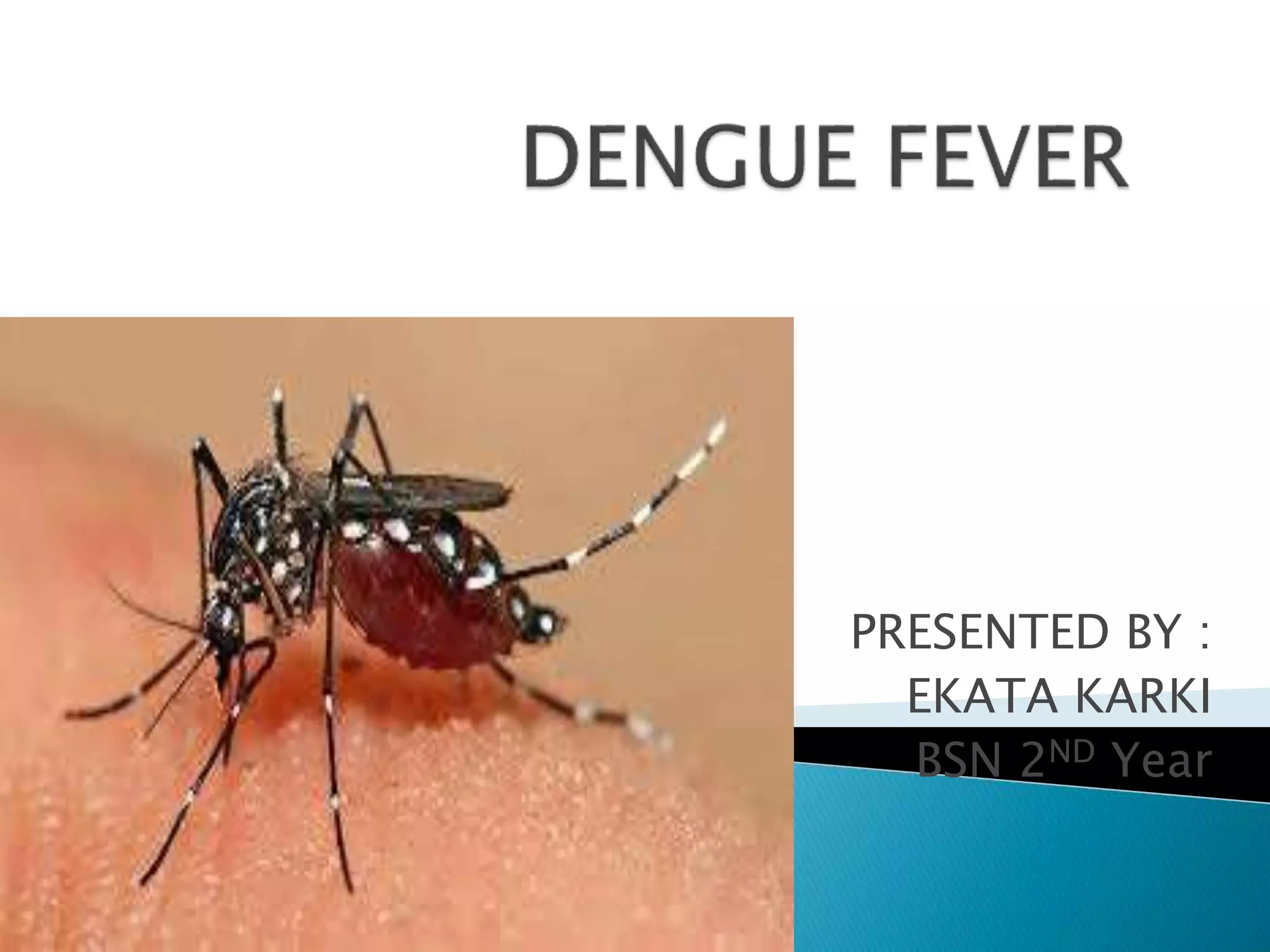 Dengue | PPT