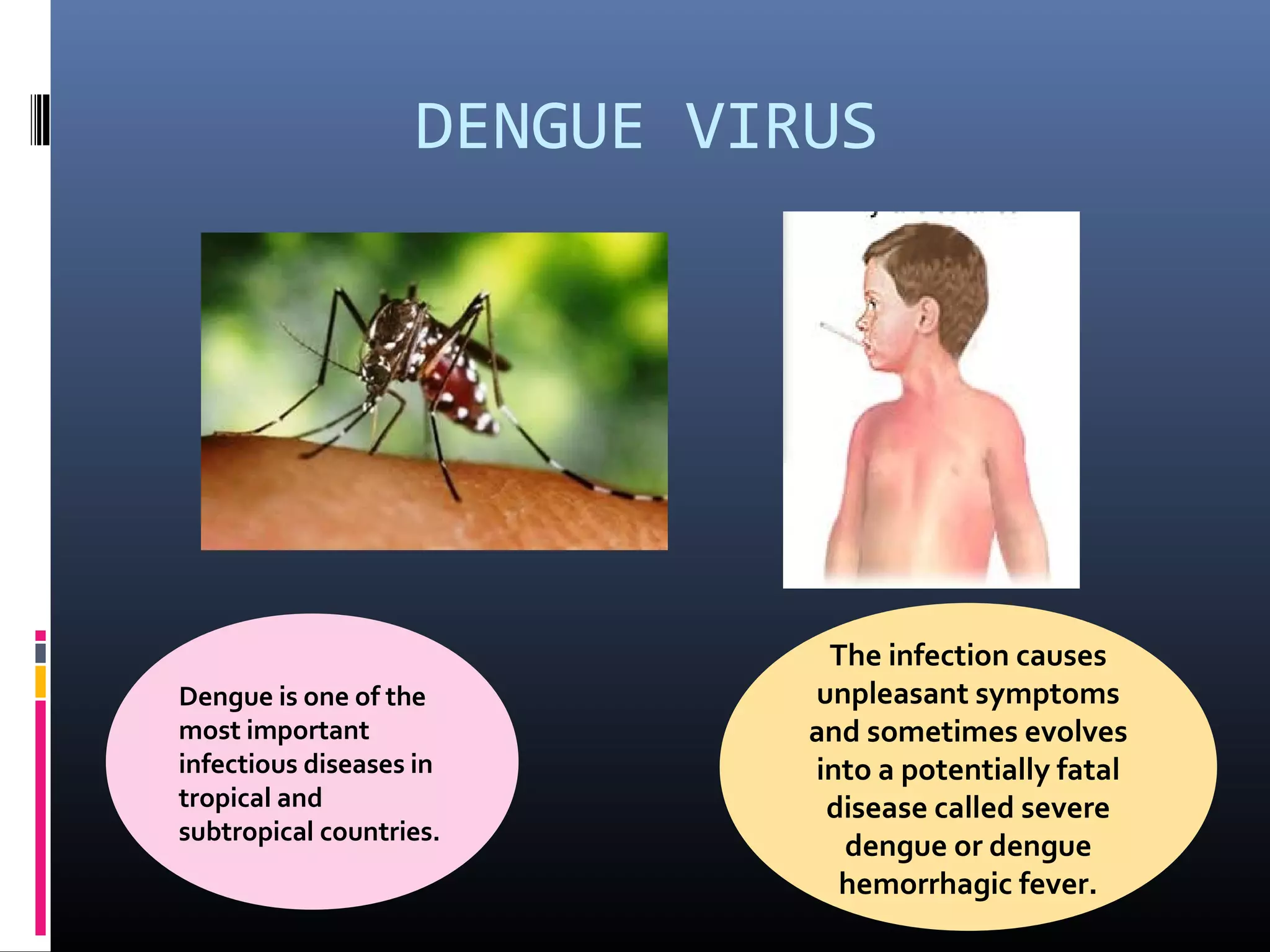 DENGUE FEBER ESSAY | PPT