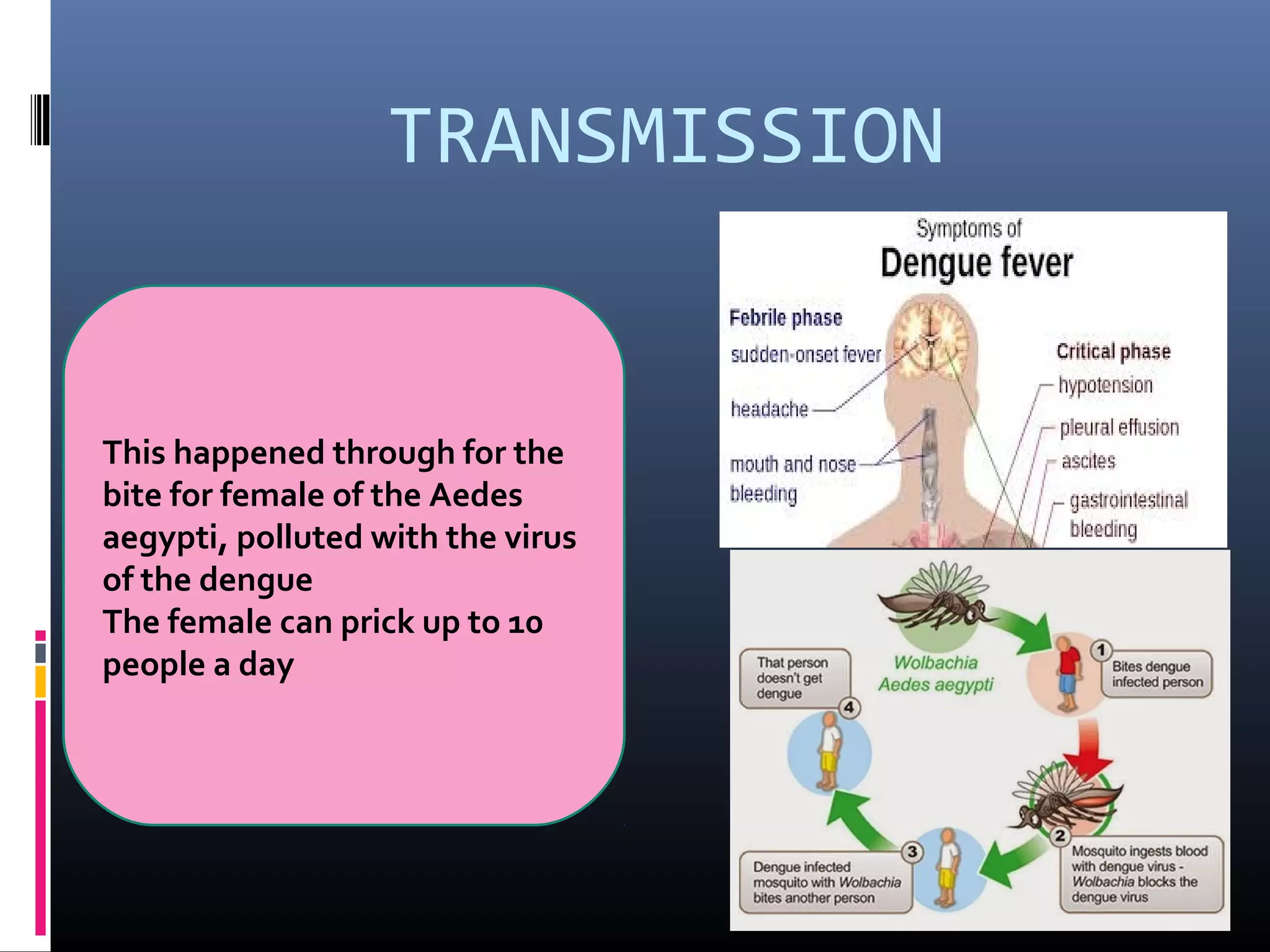 DENGUE FEBER ESSAY | PPT