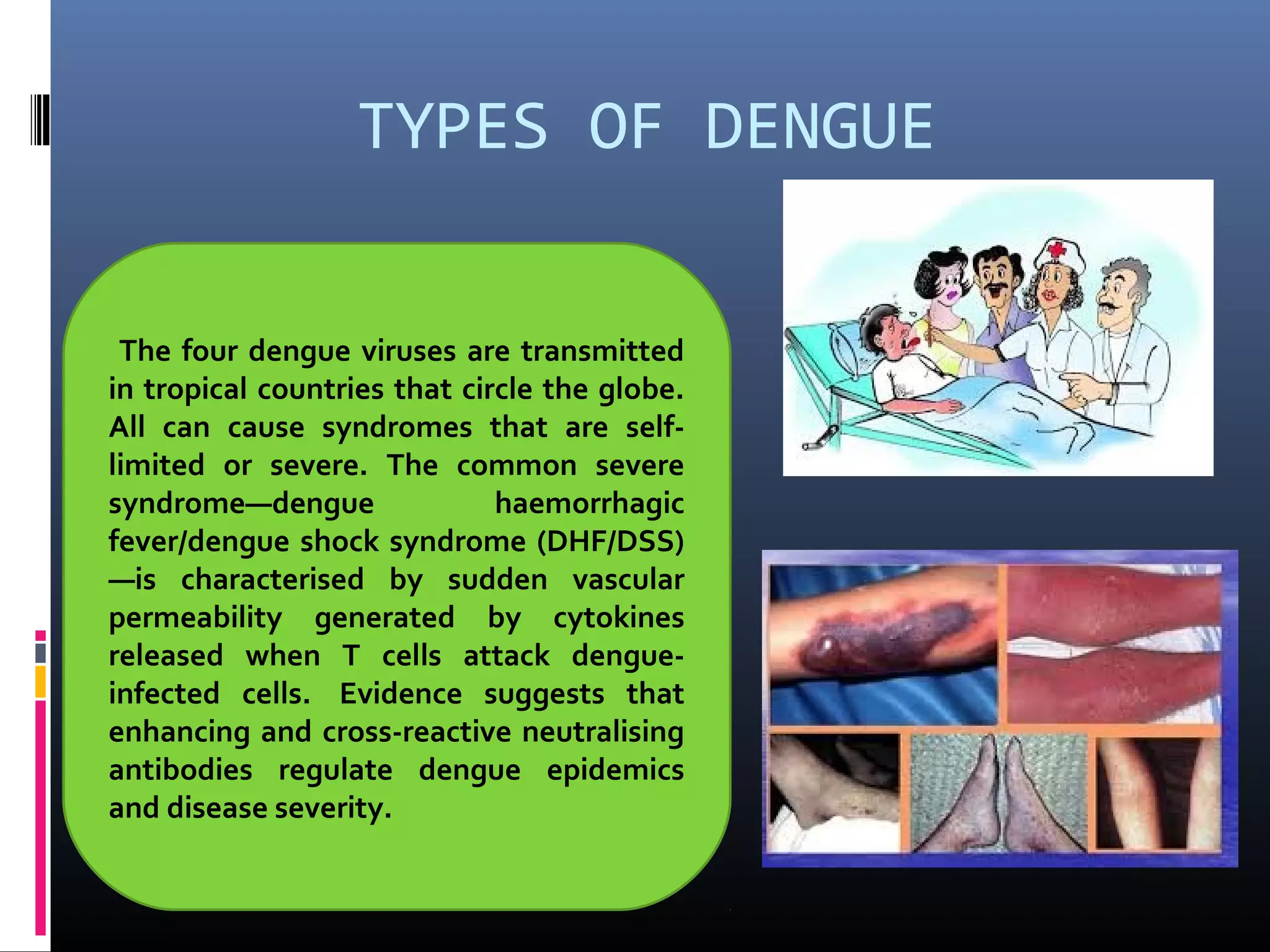 DENGUE FEBER ESSAY | PPT