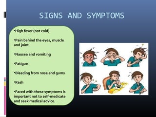 DENGUE FEBER ESSAY | PPT