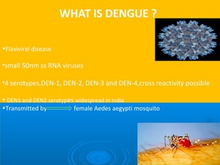 Dengue | PPT