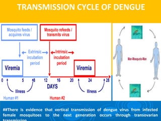 Dengue | PPT