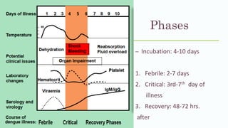 Dengue | PPTX