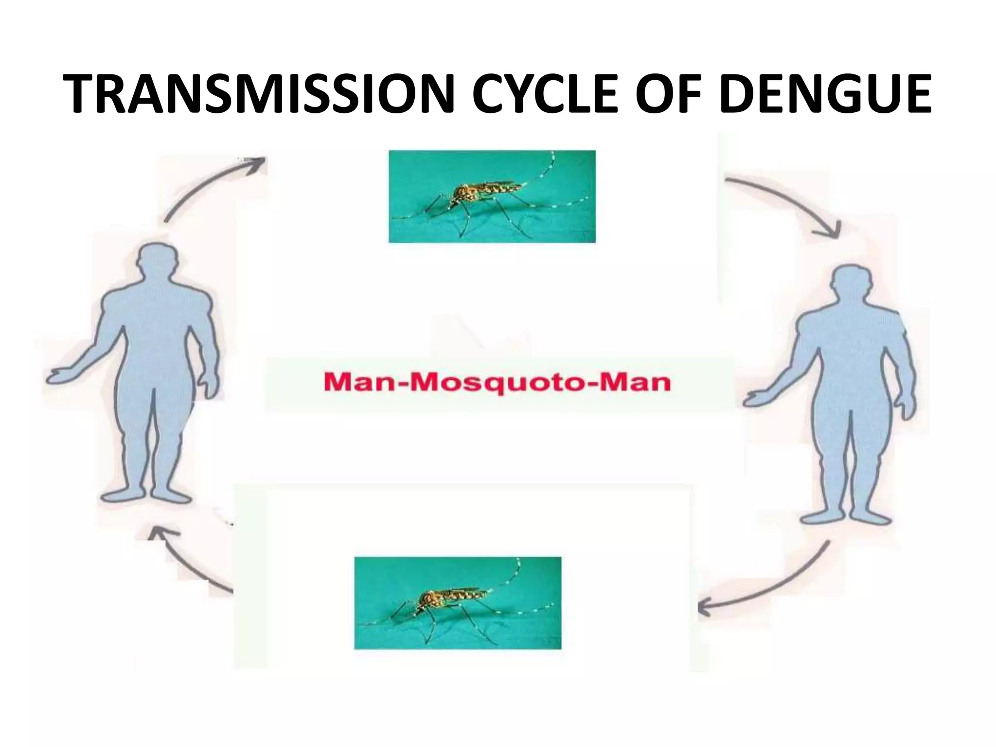 DENGUE CONTROL PROGRAMME-INDIA | PPTX
