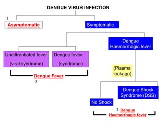 Dengue | PPTX