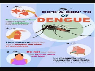 Dengue | PPTX | Infectious Diseases | Diseases and Conditions
