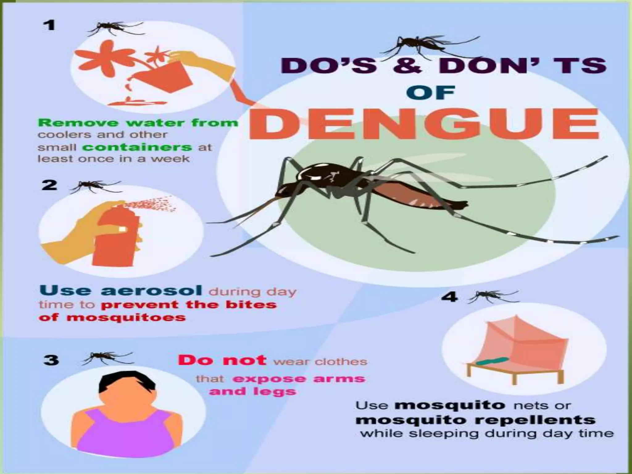 Dengue, DENGUE FEVER, DHS | PPTX